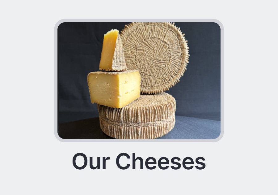 Our Cheeses • Good Hands Creamery
